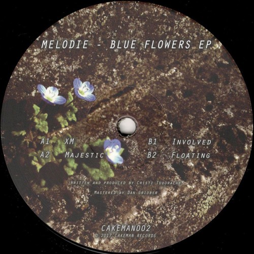 AD Melodie (4) – Blue Flowers EP – AVG RECORD STORE